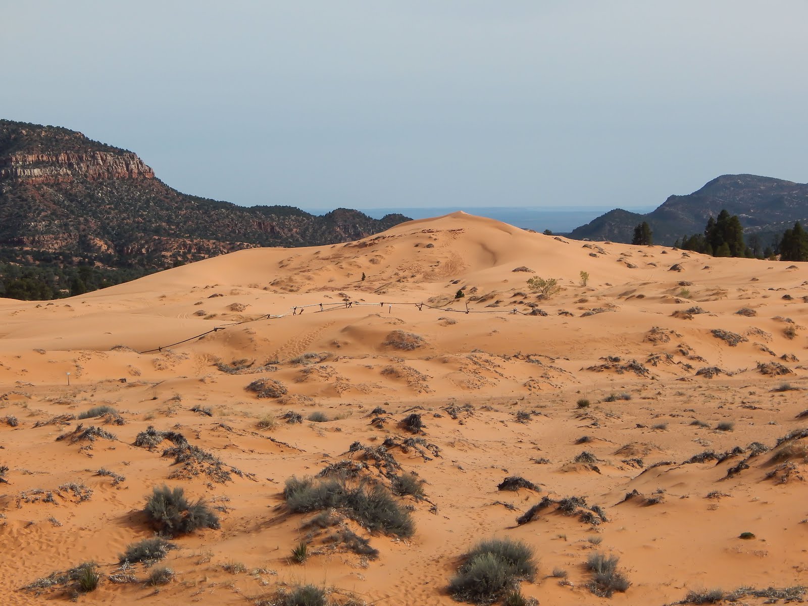 Walking Arizona: Revisiting Coral Pink Sand Dunes