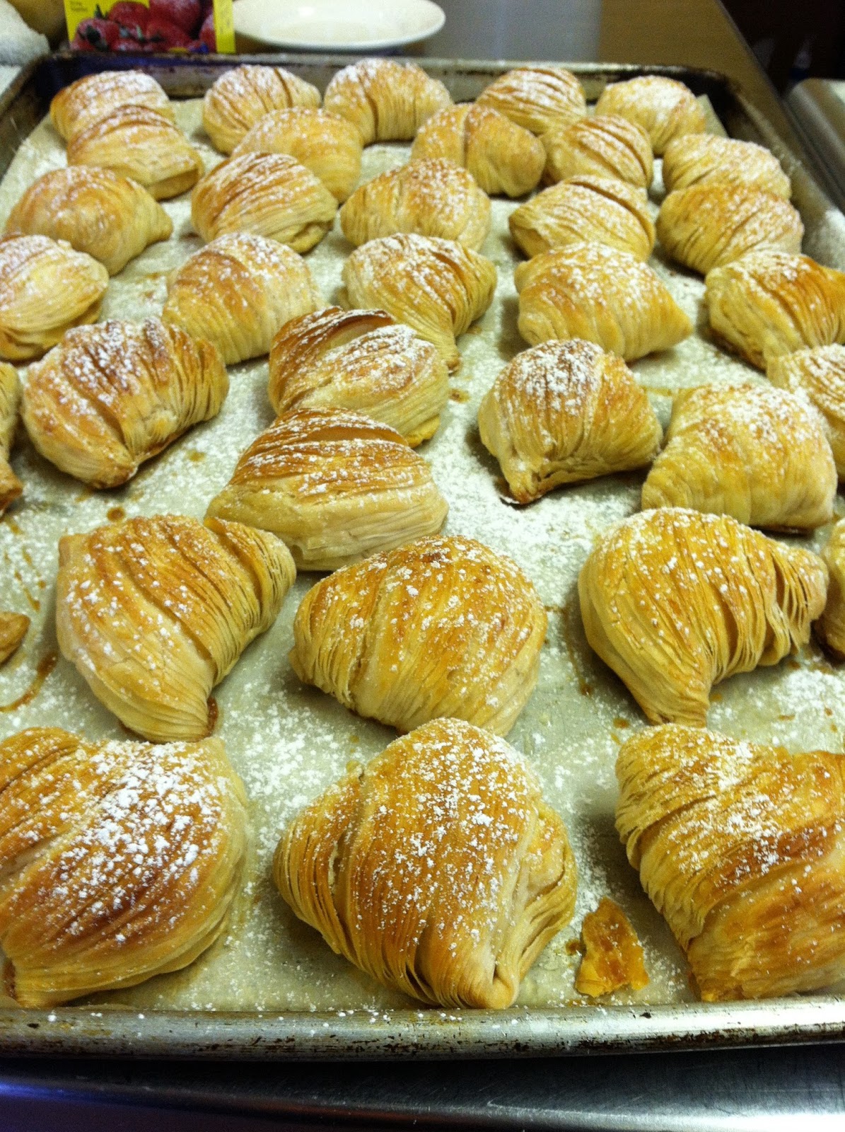 SFOGLIATELLA PASTRY FROM NAPLES