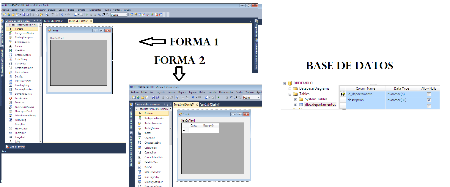 Ingenieria de sistemas: Uso básico de Datagridview (DataSet y SQL ...