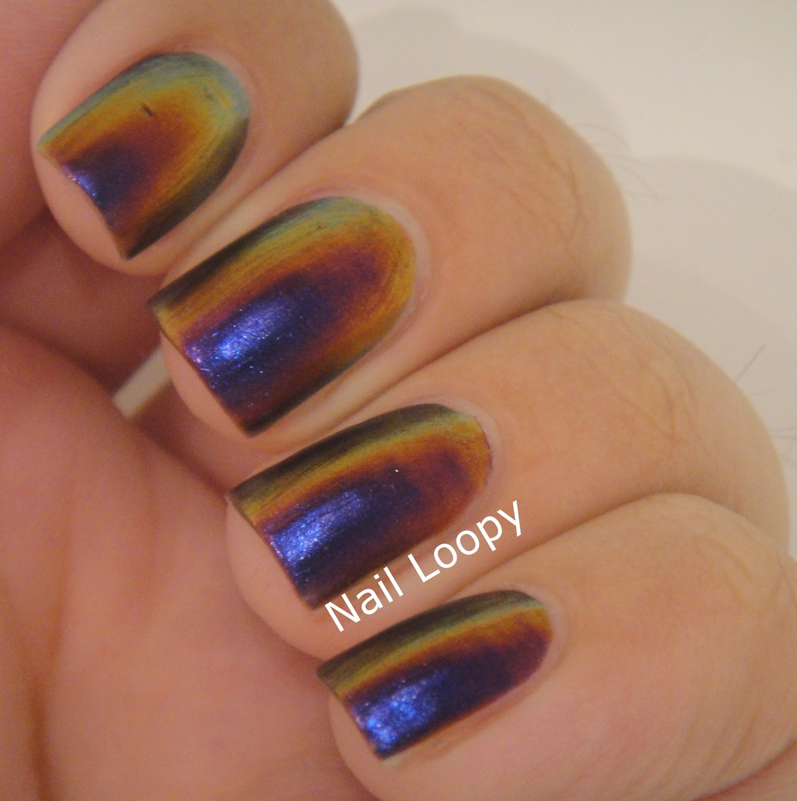 nail loopy: ILNP CYGNUS LOOP
