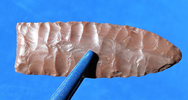 SHADOWS on the TRAIL Pentalogy - Let the Adventures Begin!: Paleoindian ...