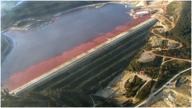 Criterios laxos y etiquetas de sostenibilidad desvirtuadas atraen ...