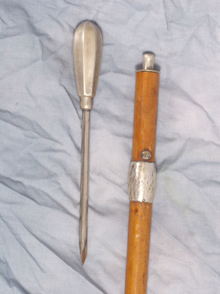 Dioramas and Clever Things: Can your can do this? Gadget Canes Part I