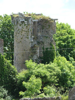 Susan Magner's Family Blog