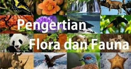 Pecinta ilmu: Flora dan fauna