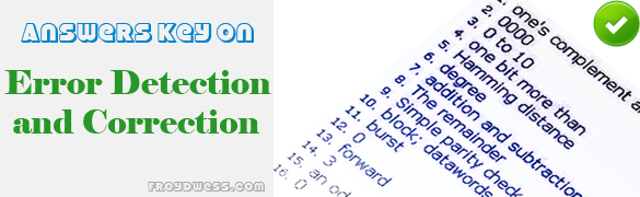 Error Detection And Correction Mcqs Answers