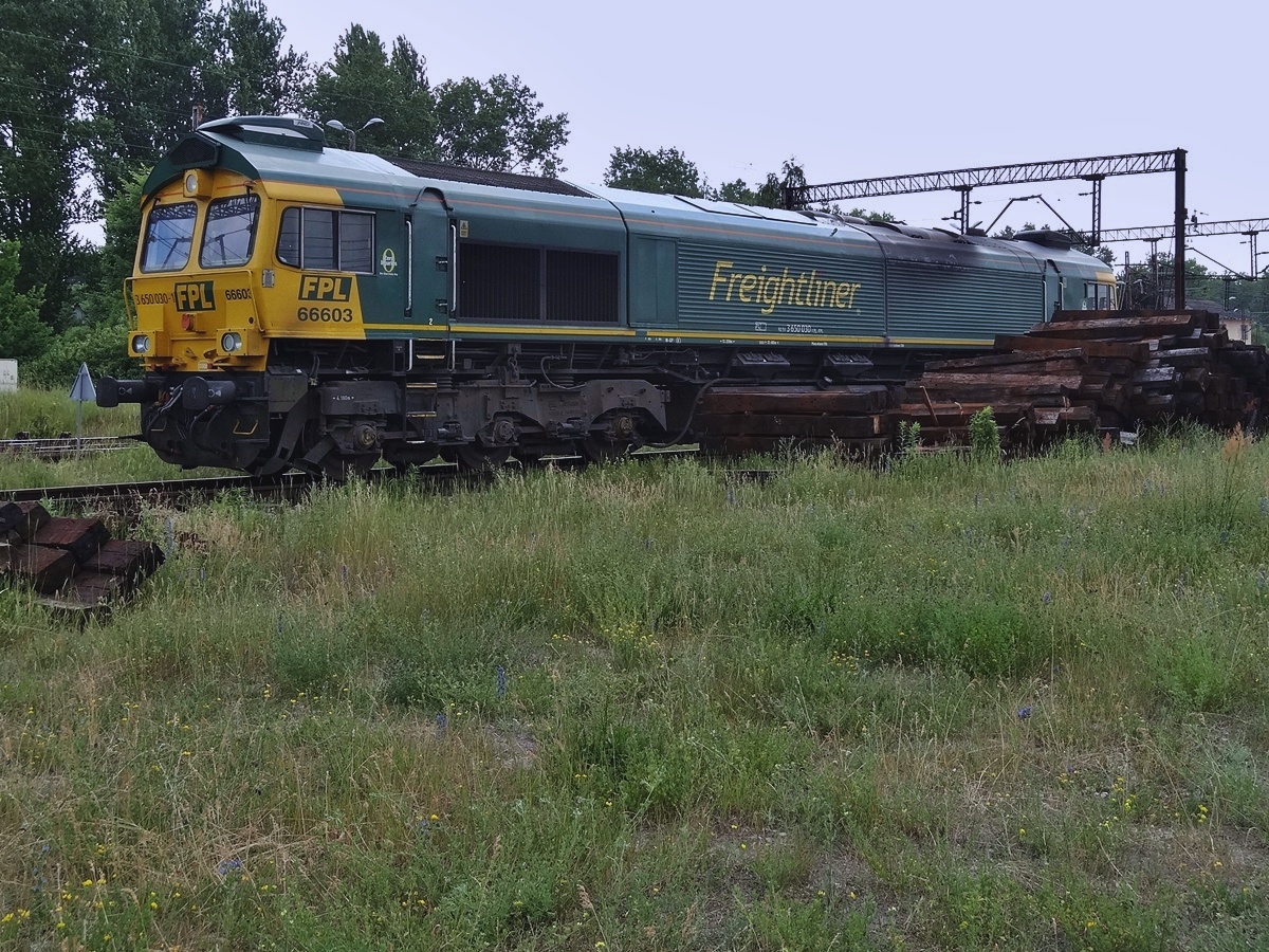 Class 66603