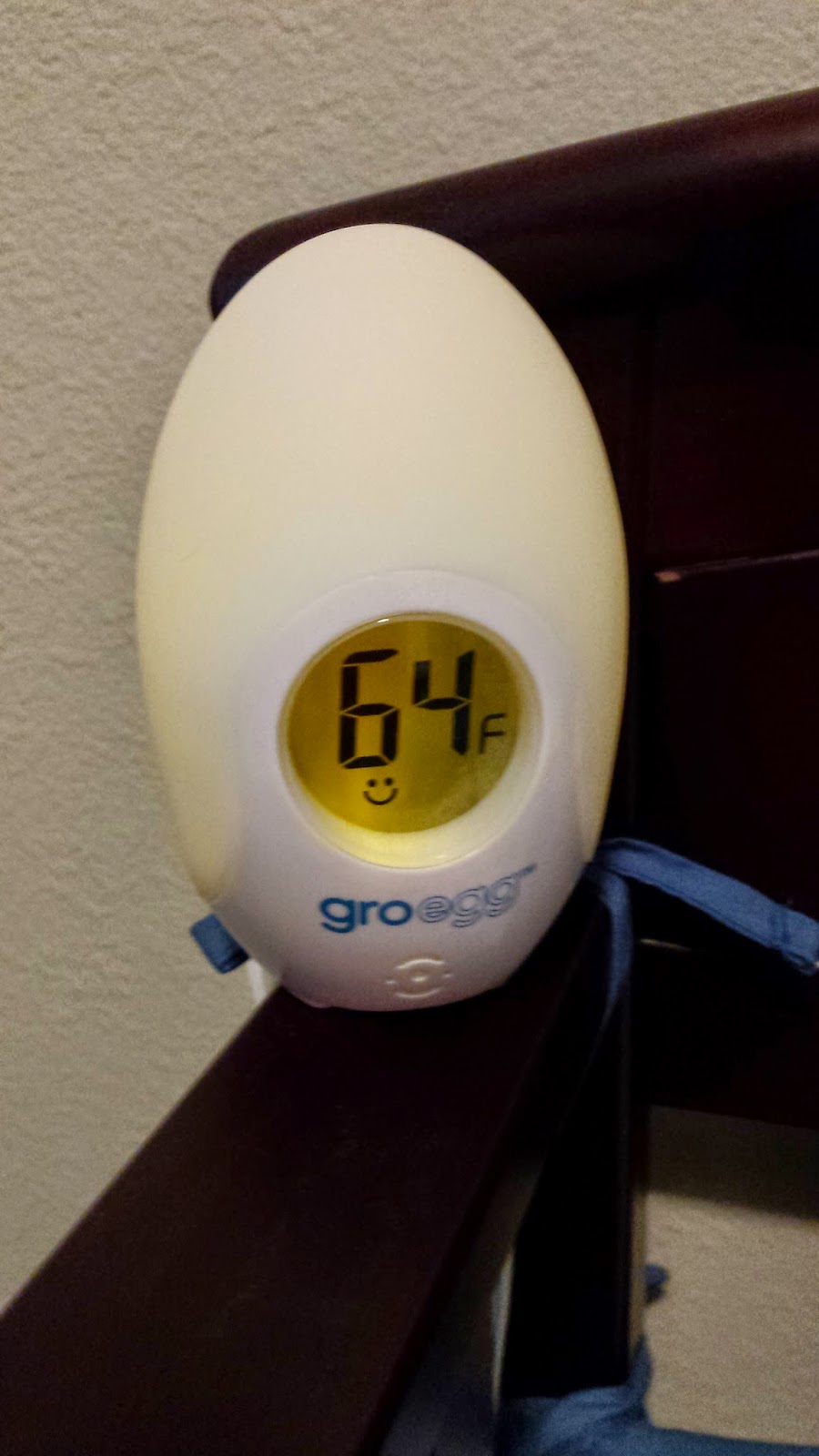 Mrs. PickyPants: The Gro Egg