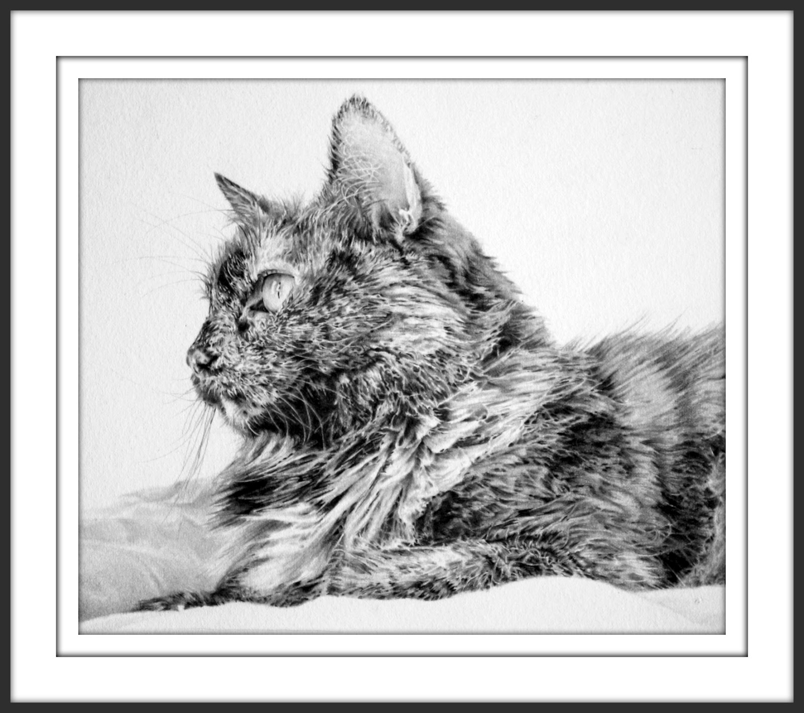 Kathryn Hansen graphite and colored pencil drawings