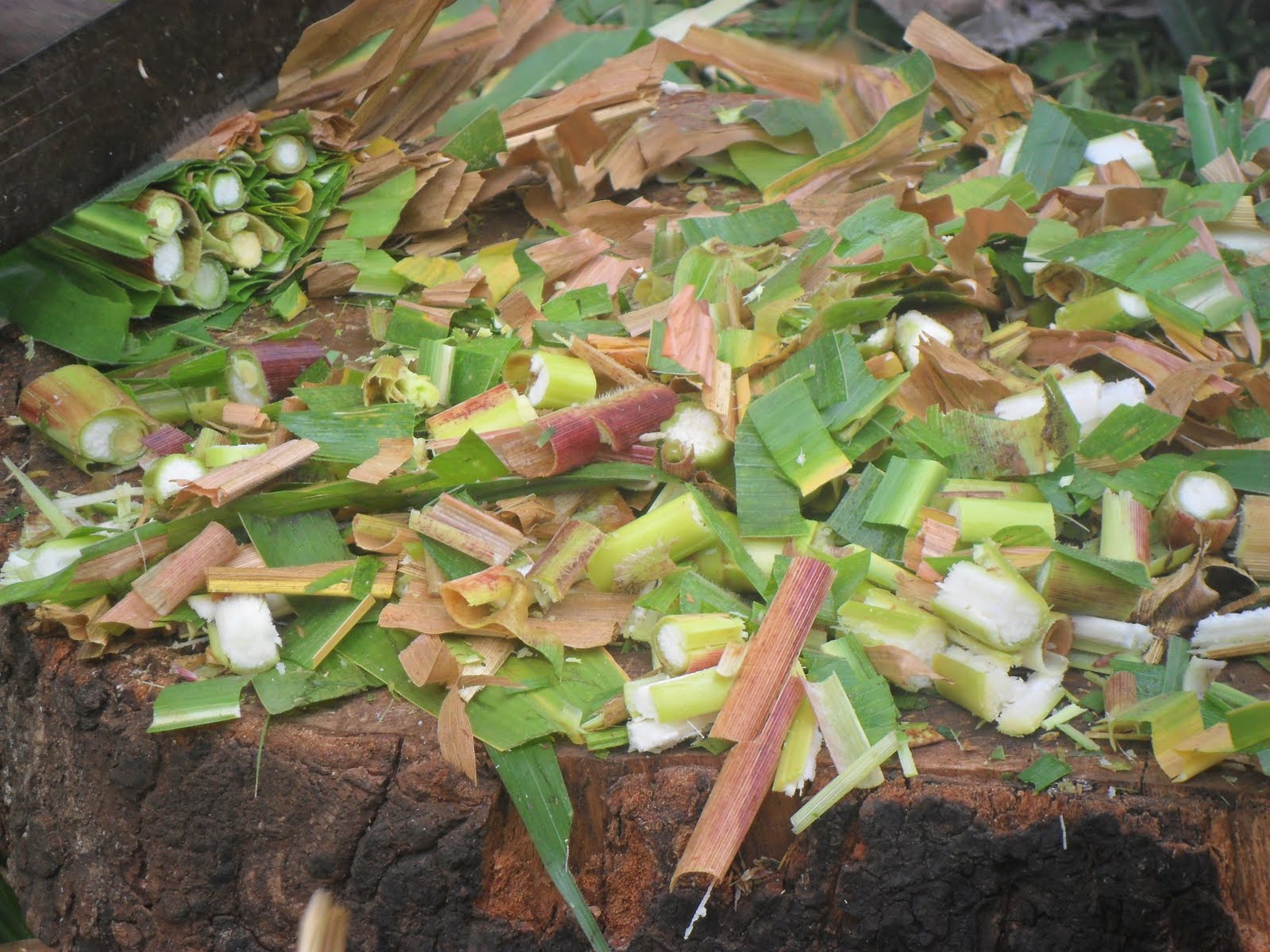 SMALL-SCALE FARMING COMMERCIALIZED: SILAGE PREPARATION