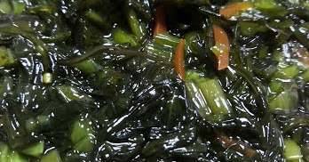 Nozawana pickles with Wasabi