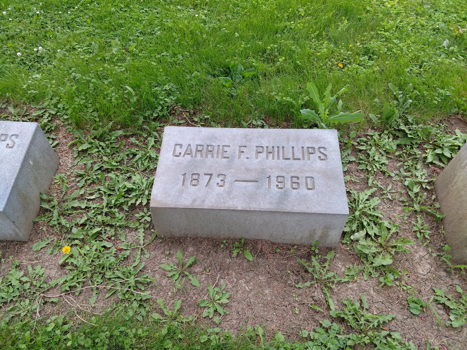 Travels of a Hobgoblin Taphophile: Carrie Phillips - Marion Cemetery