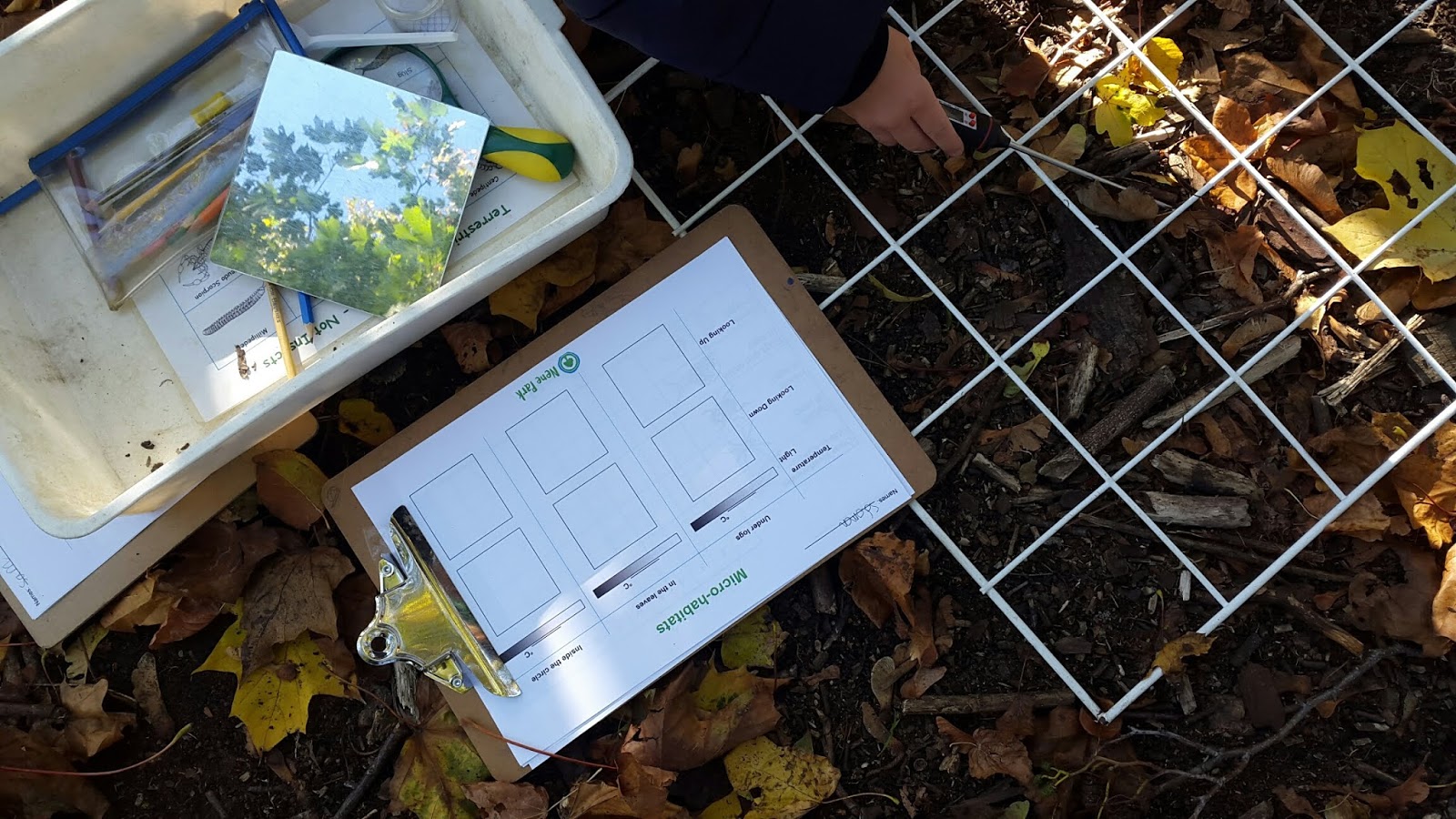 Educating Sol, Mon and Sam: Project 57: Living things and their habitats.