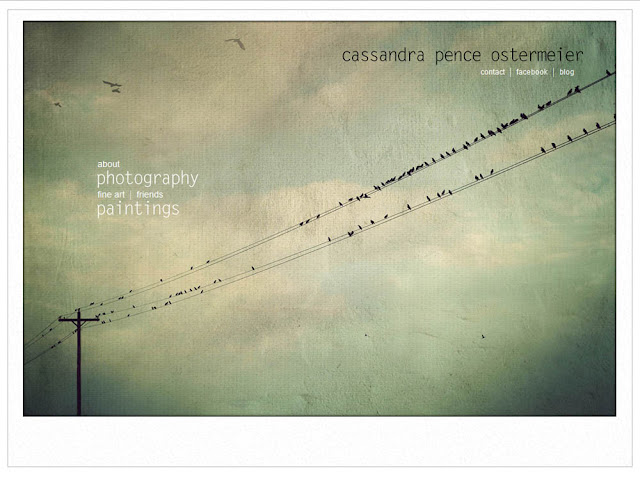 sassafras: cassandra pence ostermeier :: new website