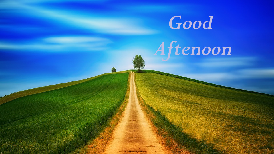 Top 10 Good Afternoon images, greetings, pictures for whatsapp ...