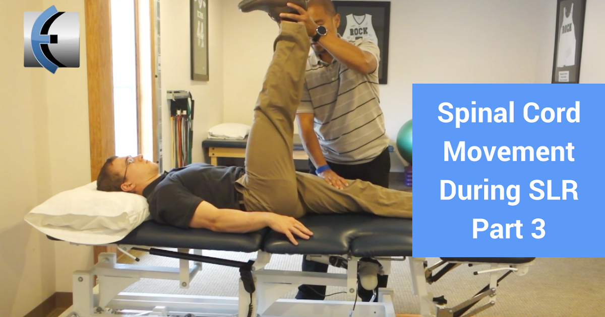 Spinal Cord Movement with SLR Part 3 | Modern Manual Therapy Insiders ...