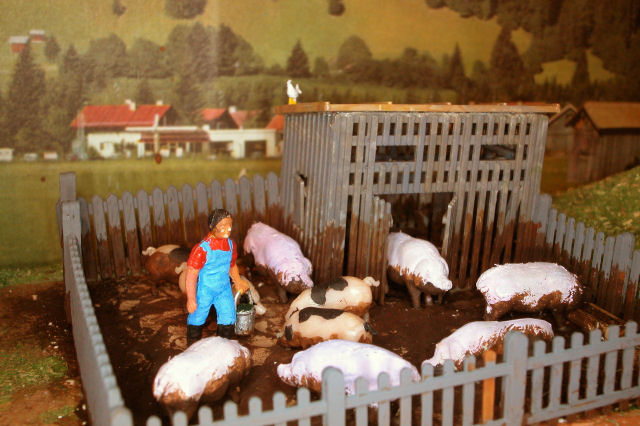 Cabin Layout: Pig Sty