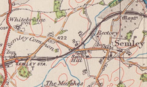 Public Transport Experience: Surprised by Superb Semley (1)