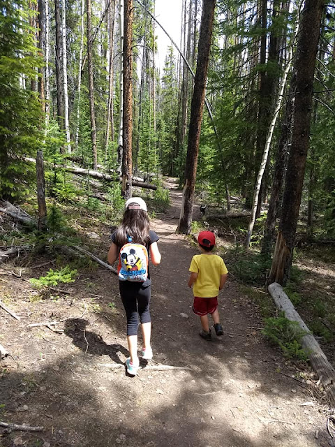 14er Art : Backpacking Boulder Lake with the Kids - June 2020