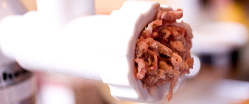 Forcemeat: A Brief Introduction