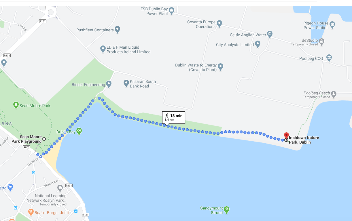 EXPAT WITH KIDS IN DUBLIN : IRISHTOWN NATURE PARK and POOLBEG BEACH