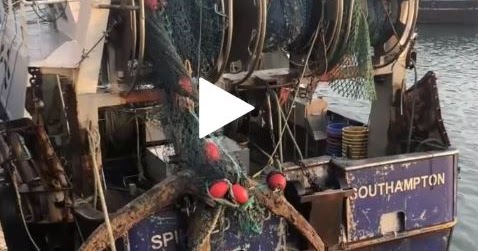 The Treasure Beaches Report Direct From Florida's Treasure Coast.: 3/11 ...