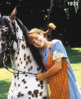 PIPPI LONGSTOCKING'S BEAUTIFUL CHAPTERS OF LIFE
