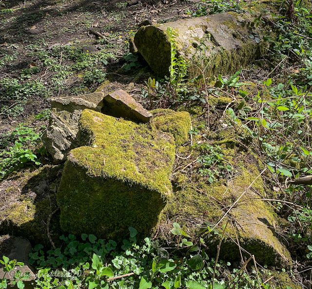 Saltaire Daily Photo: Milner Field, the lost house