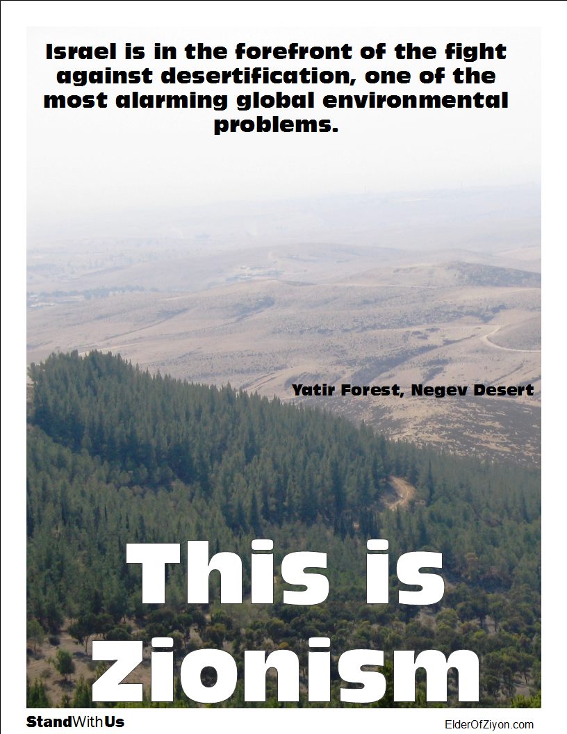 This Is Zionism – Das ist der Zionismus! | kopten ohne grenzen