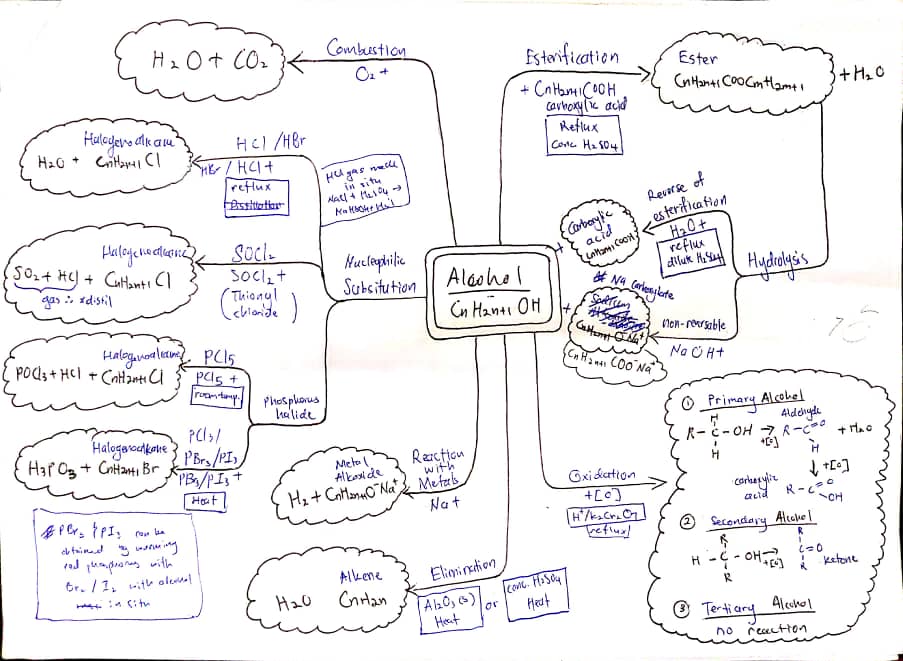AS Level Organic Chemistry Mind Map