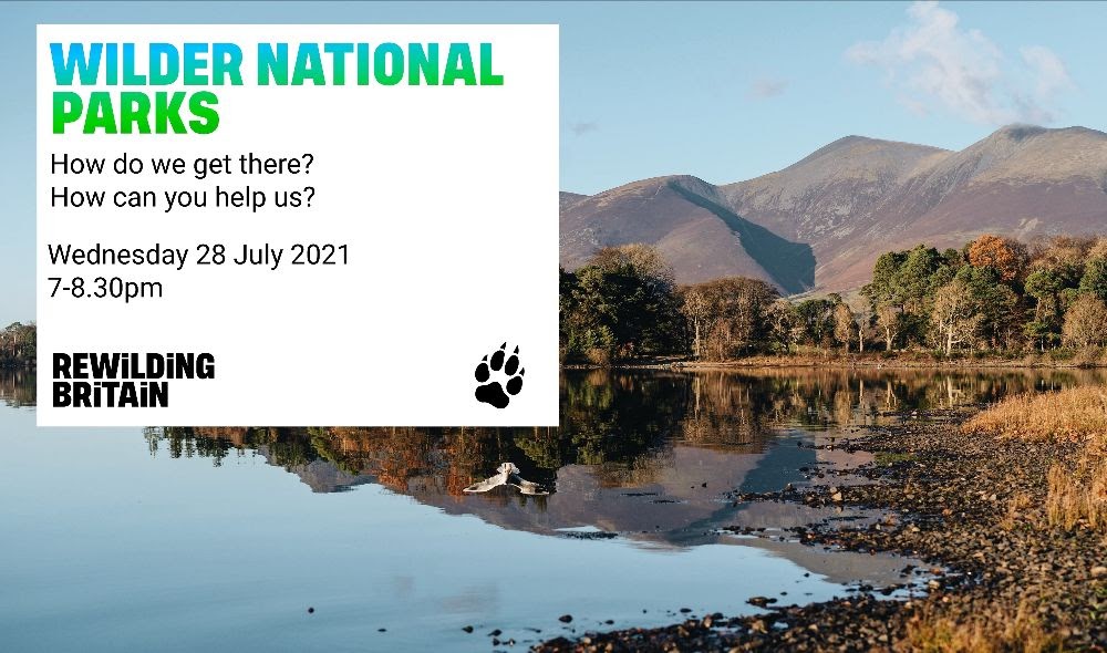 SS15 wildlife watching: Rewilding Britain - rewilding our National Parks