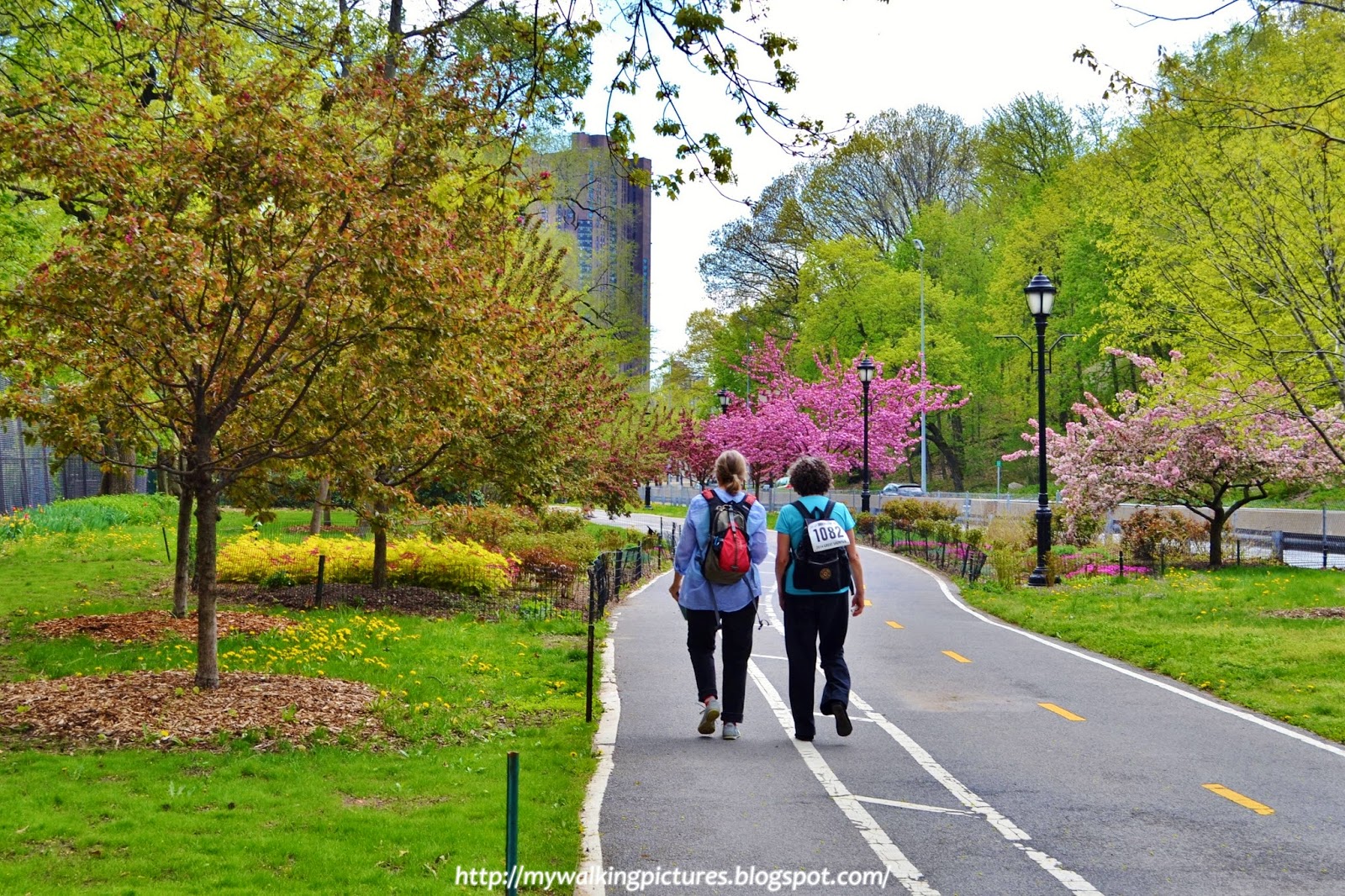 My Walking Pictures: The Great Saunter 2014 - East Side