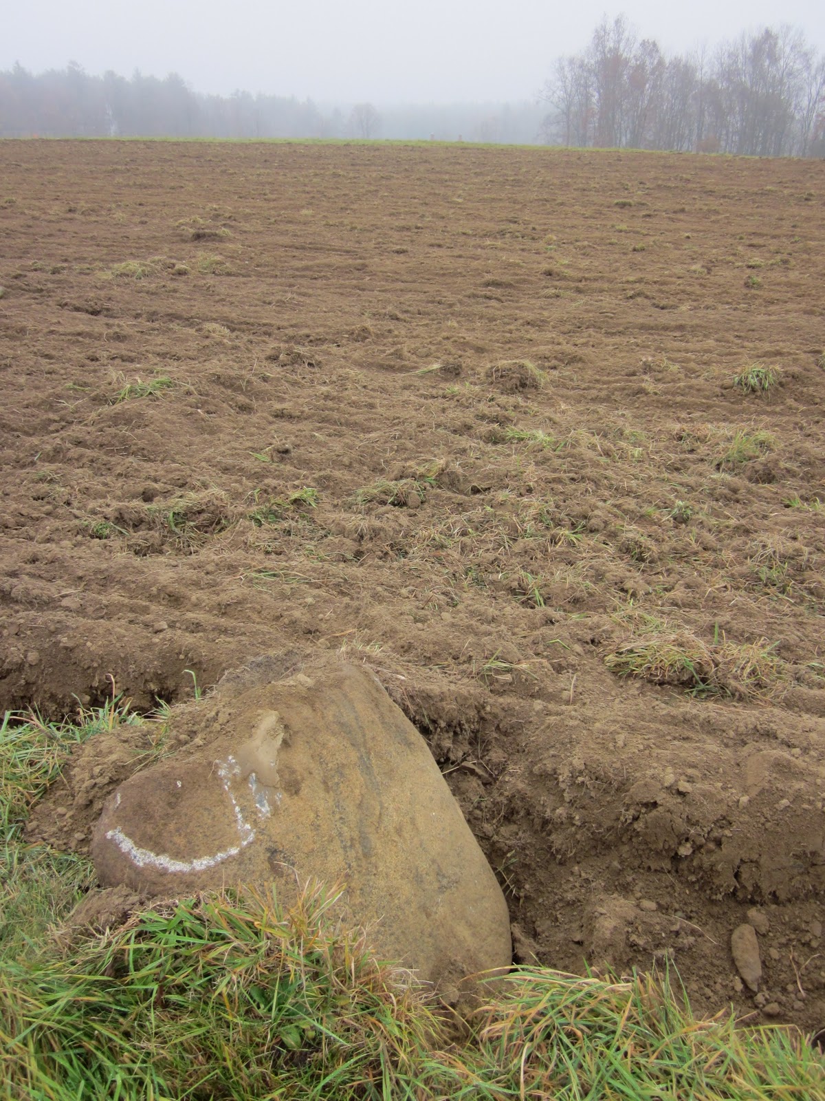 turning over new fields - Stout Oak Farm