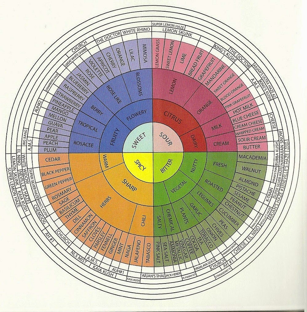 Hemp Edification: Cannabis Topicals