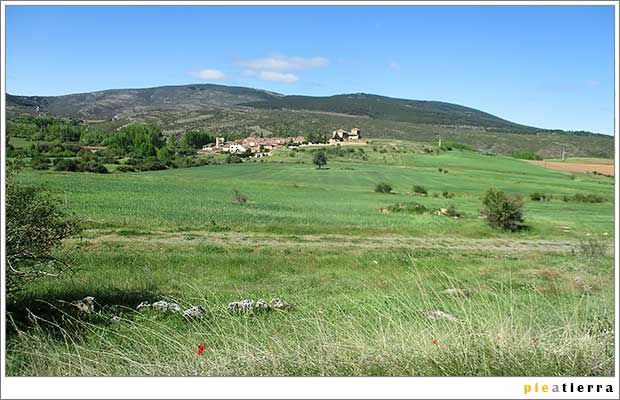Pueblos rojos y negros de la sierra de Ayllón