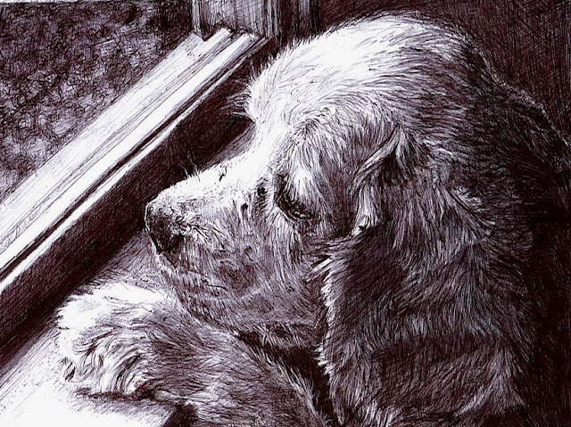 Maher Art Gallery: Maria Zeldis 1955 | Ucraina