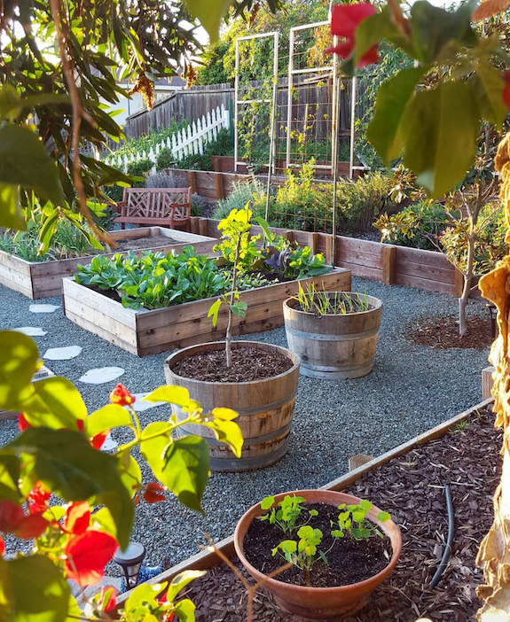 La Maison Boheme: My Favorite Backyard Farm on Instagram