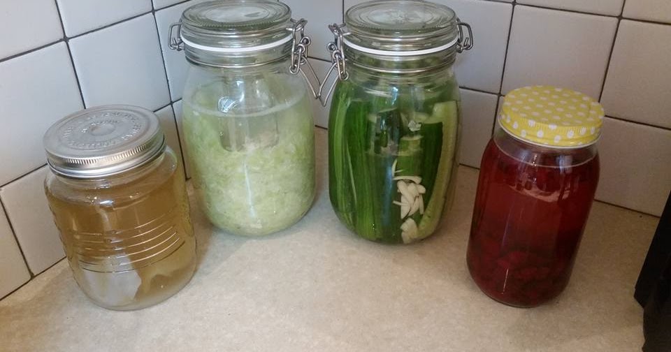 A Fun Lacto-Fermentation Class | Penniless Parenting