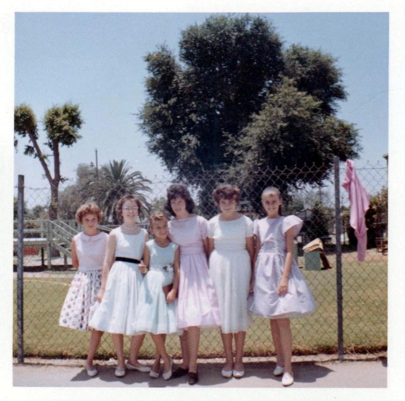 50 Glamorous Snapshots Show Dresses That Girls Often Wore From the ...