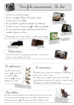 Fiche pédagogique sur le chat (PDF)