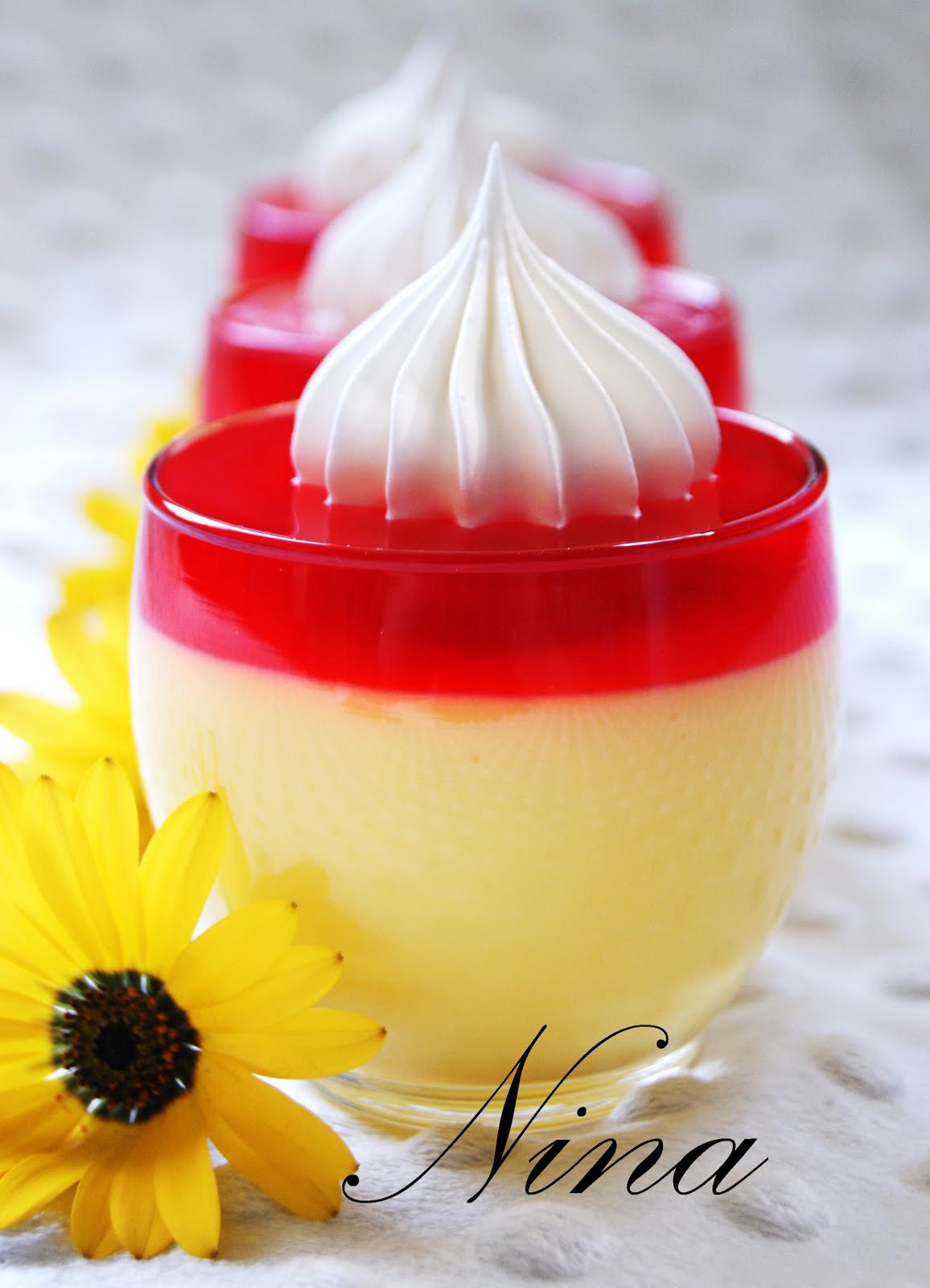 Ninas Recipes Vanilla Pudding With Strawberry Jello