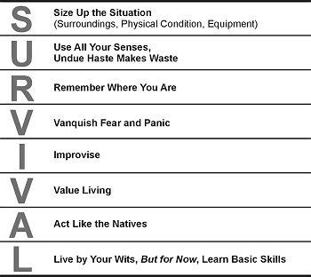 Coretan Sederhana,...: PENGERTIAN SURVIVAL