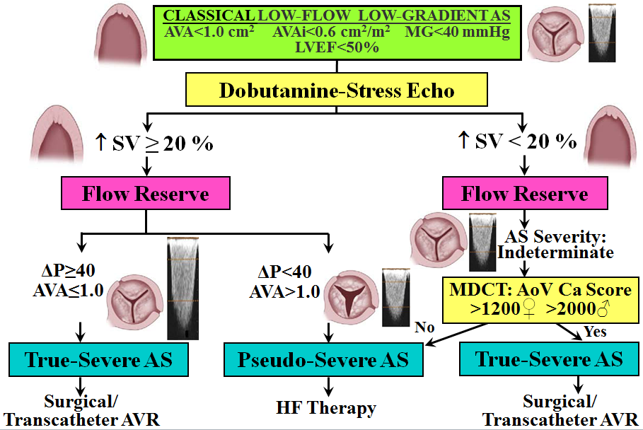 松下 ER ランチ・カンファレンス: Classical LF-LG AS