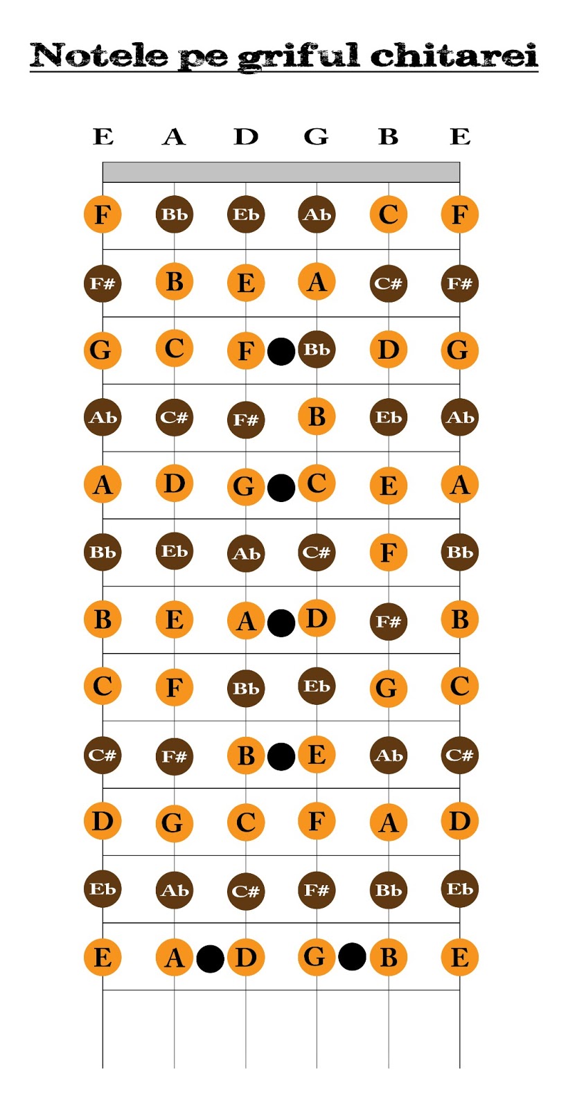 Guitars Friend ® | Lectii chitara