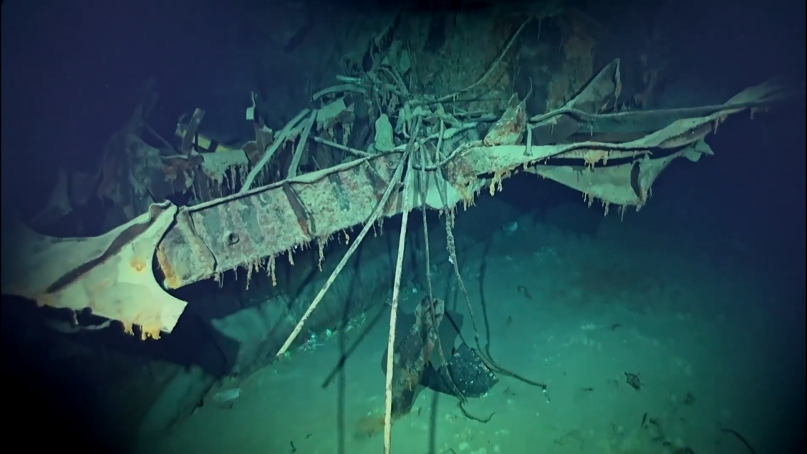 The Wreck of the USS St. Lo