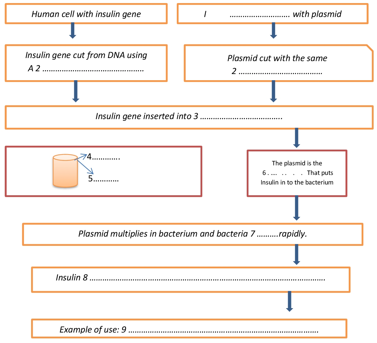 Lesson Lesson Conception Of Genetic Modifications Full General ...
