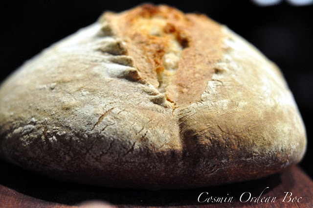 simplu si bun: Paine cu maia in sapte pasi