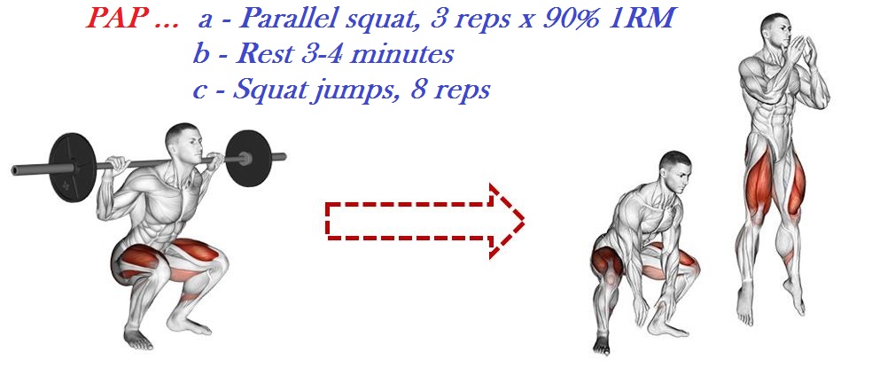 AdrianSprints.com: Post Activation Potentiation for Vertical Jump ...