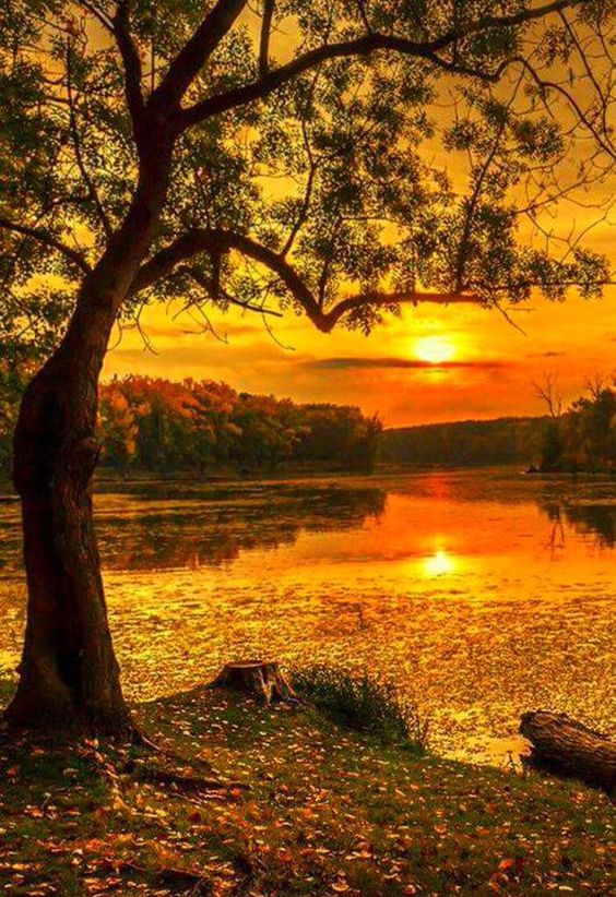 50 Most Beautiful Sunset and Sunrise Photography