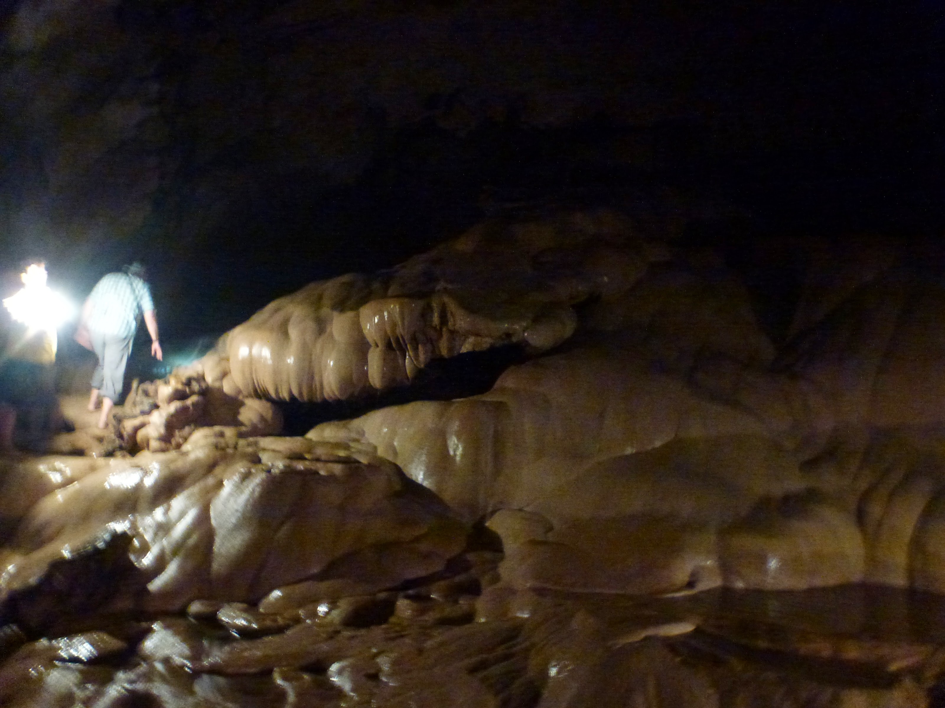 Saskatchewan Snowbirds in Southeast Asia: Spelunking and how to get rid ...